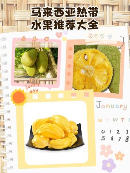 热带水果有哪些_热带水果营养价值排行榜-第2张图片-山城妙识 热带水果有哪些_热带水果营养价值排行榜-第2张图片-山城妙识