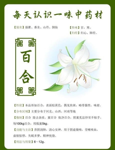 新鲜百合吃多了有危害吗_百合过量副作用-第3张图片-山城妙识