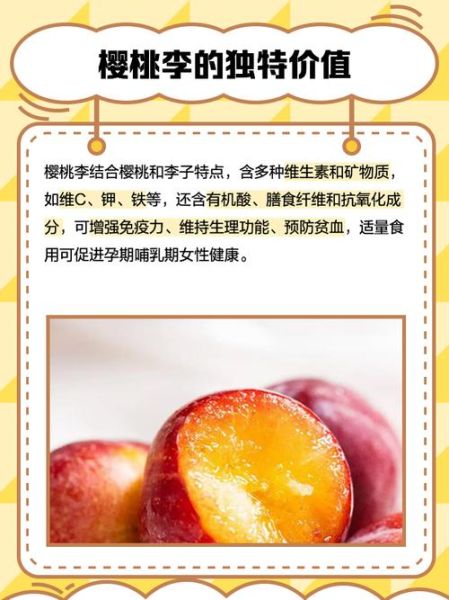 樱桃李子功效与作用_樱桃李子怎么吃最健康-第1张图片-山城妙识