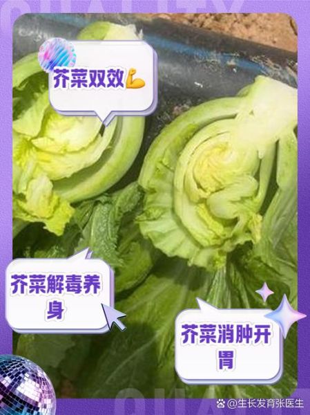 芥菜不焯水吃了有什么危害_芥菜不焯水能吃吗-第1张图片-山城妙识