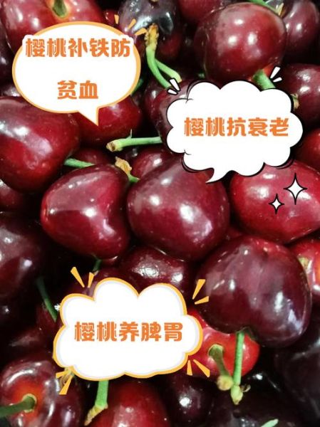 樱桃李子功效与作用_樱桃李子怎么吃最健康-第2张图片-山城妙识