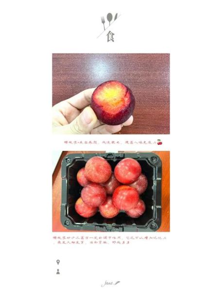 樱桃李子功效与作用_樱桃李子怎么吃最健康-第3张图片-山城妙识