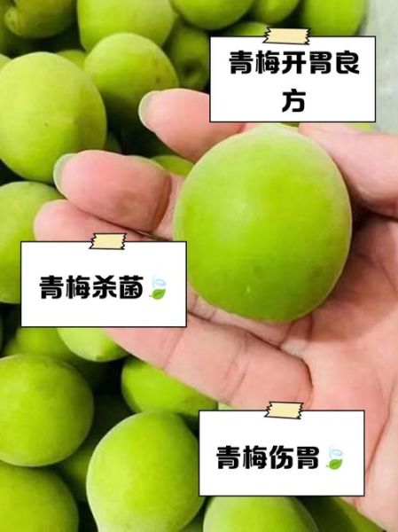 青梅的功效与作用_青梅怎么吃效果最好-第1张图片-山城妙识