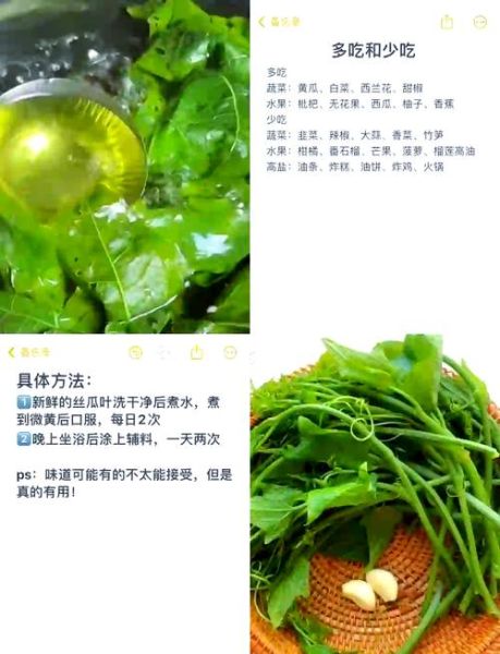 丝瓜叶的功效与禁忌_哪些人不能吃-第1张图片-山城妙识 丝瓜叶的功效与禁忌_哪些人不能吃-第1张图片-山城妙识