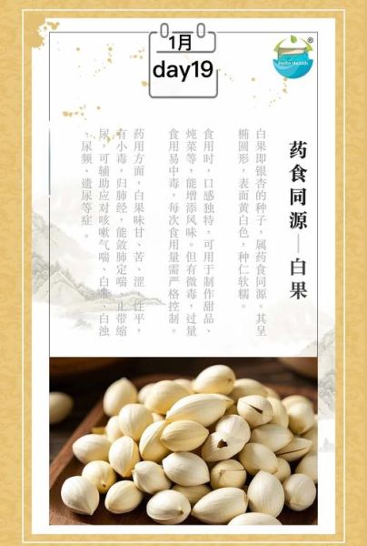 新鲜白果的功效与作用_新鲜白果怎么吃最好-第3张图片-山城妙识 新鲜白果的功效与作用_新鲜白果怎么吃最好-第3张图片-山城妙识