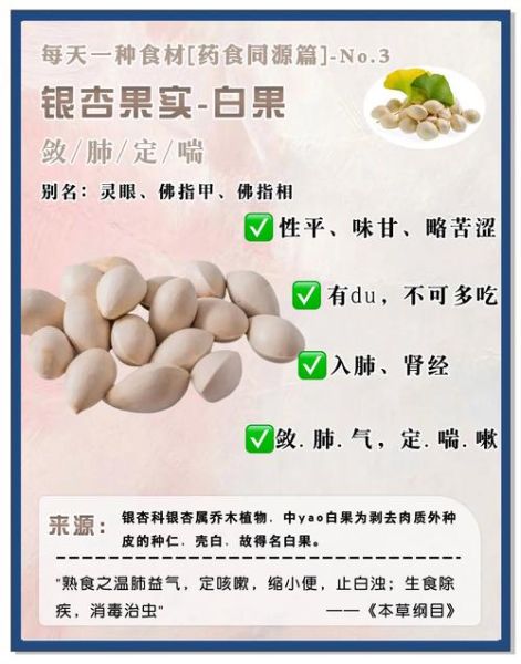 新鲜白果的功效与作用_新鲜白果怎么吃最好-第1张图片-山城妙识 新鲜白果的功效与作用_新鲜白果怎么吃最好-第1张图片-山城妙识