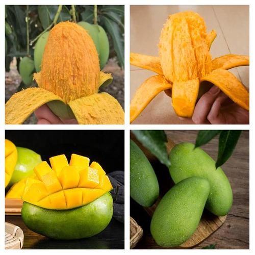 水果之王排行榜前10名_哪种水果营养价值最高-第2张图片-山城妙识 水果之王排行榜前10名_哪种水果营养价值最高-第2张图片-山城妙识