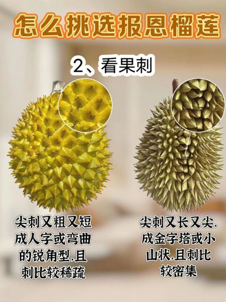 水果之王排行榜前10名_哪种水果营养价值最高-第1张图片-山城妙识 水果之王排行榜前10名_哪种水果营养价值最高-第1张图片-山城妙识