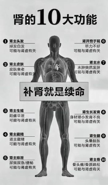 中医补肾壮阳的最佳方法_如何科学调理肾虚-第2张图片-山城妙识