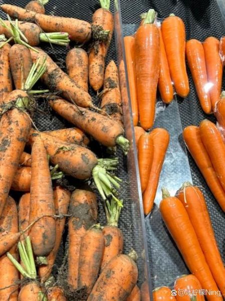 胡萝卜多少钱一斤_胡萝卜价格为什么波动-第3张图片-山城妙识