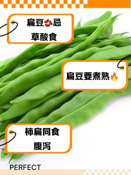 扁豆不能和什么一起吃_六种相克食物全解析-第3张图片-山城妙识