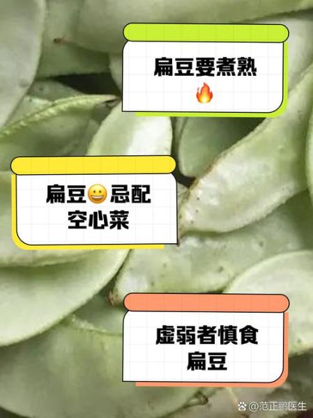 扁豆不能和什么一起吃_六种相克食物全解析-第2张图片-山城妙识