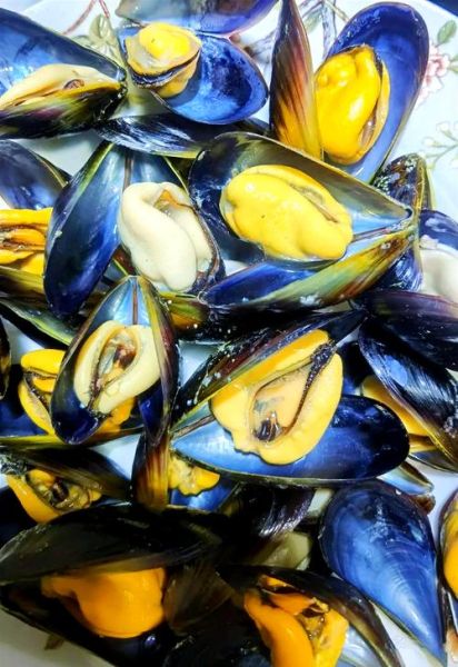 女人吃海虹好尴尬_海虹吃了会胖吗-第1张图片-山城妙识