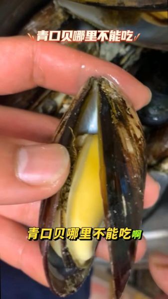 女人吃海虹好尴尬_海虹吃了会胖吗-第3张图片-山城妙识