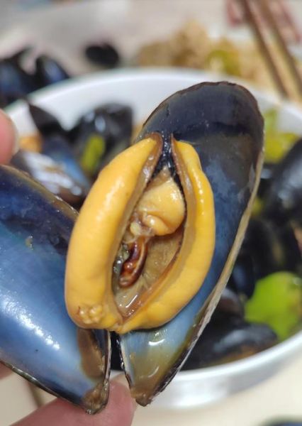 女人吃海虹好尴尬_海虹吃了会胖吗-第2张图片-山城妙识