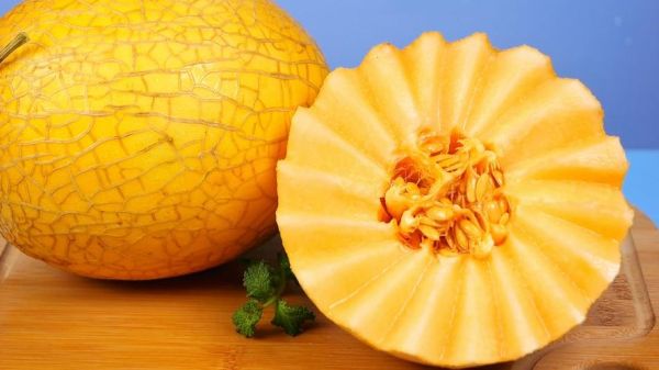 哈密瓜视频怎么下载_哈密瓜视频会员值得开吗-第1张图片-山城妙识 哈密瓜视频怎么下载_哈密瓜视频会员值得开吗-第1张图片-山城妙识