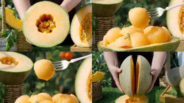 哈密瓜视频怎么下载_哈密瓜视频会员值得开吗-第3张图片-山城妙识 哈密瓜视频怎么下载_哈密瓜视频会员值得开吗-第3张图片-山城妙识