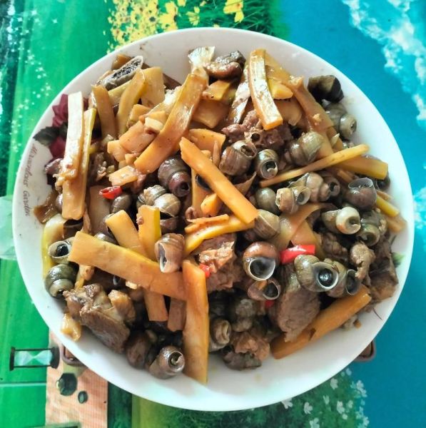 酸笋焖鸭怎么做_酸笋焖鸭最正宗的做法-第3张图片-山城妙识