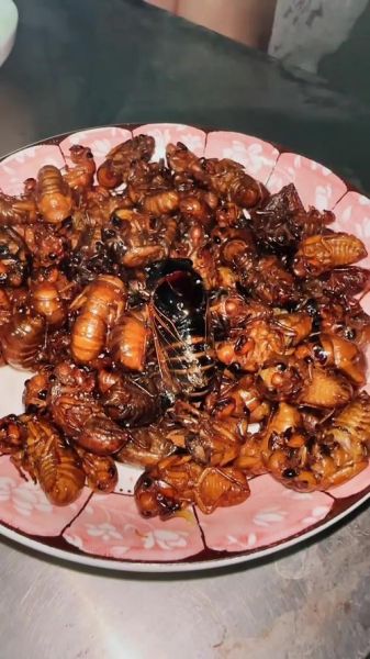 黑知了的做法大全_家常黑知了怎么做好吃-第2张图片-山城妙识