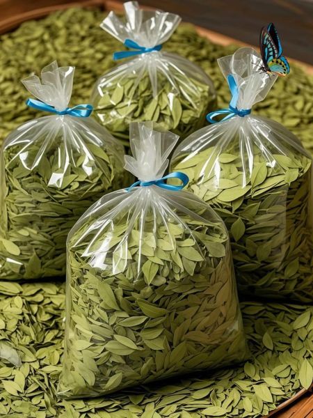 番泻叶多久见效_番泻叶多久可以拉干净-第3张图片-山城妙识