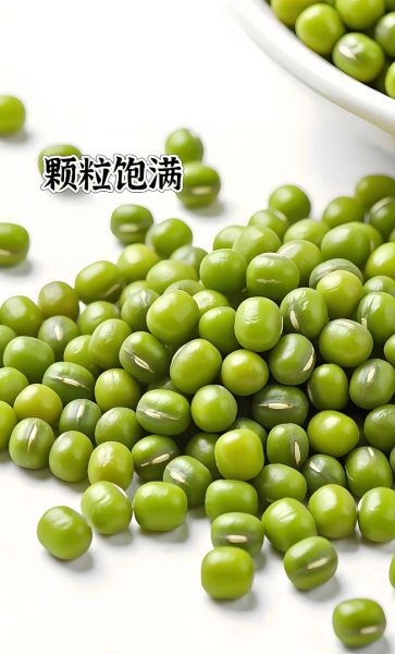 绿豆汤怎么熬是绿色的_绿豆汤如何保持翠绿-第3张图片-山城妙识 绿豆汤怎么熬是绿色的_绿豆汤如何保持翠绿-第3张图片-山城妙识