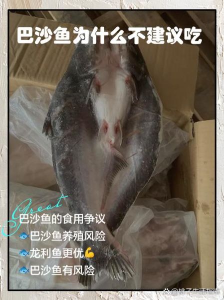 巴沙鱼是鲶鱼吗_巴沙鱼与鲶鱼的区别-第3张图片-山城妙识