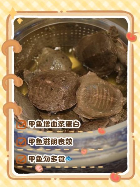 甲鱼的营养价值_吃甲鱼有哪些好处-第2张图片-山城妙识