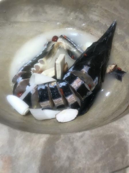 鲟鱼怎么处理_鲟鱼去鳞去腥技巧-第3张图片-山城妙识