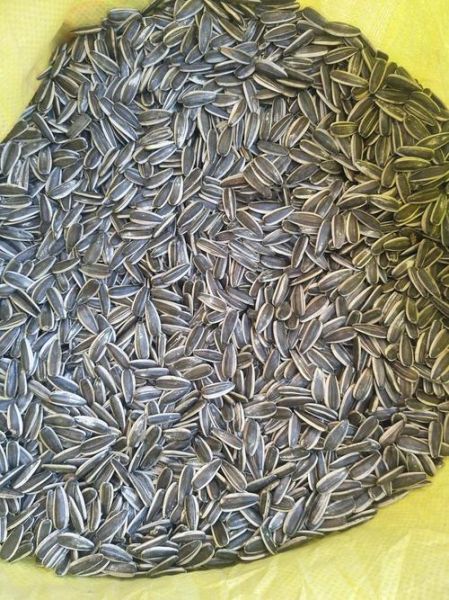 葵花籽价格最新行情_今日多少钱一斤-第2张图片-山城妙识