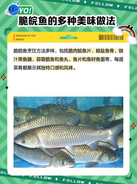 脆皖鱼怎么做好吃_脆皖鱼产地在哪里-第1张图片-山城妙识