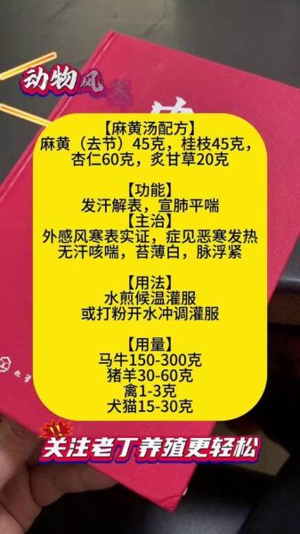 感冒了炖什么汤比较好_风寒风热怎么区分-第2张图片-山城妙识