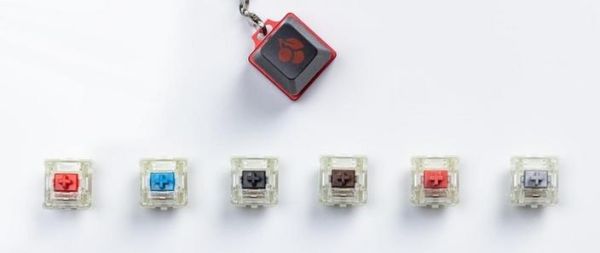 樱桃轴和cherry轴有什么区别_哪个更好-第2张图片-山城妙识