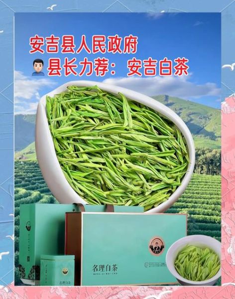安吉白茶属于什么茶_为什么叫白茶-第3张图片-山城妙识