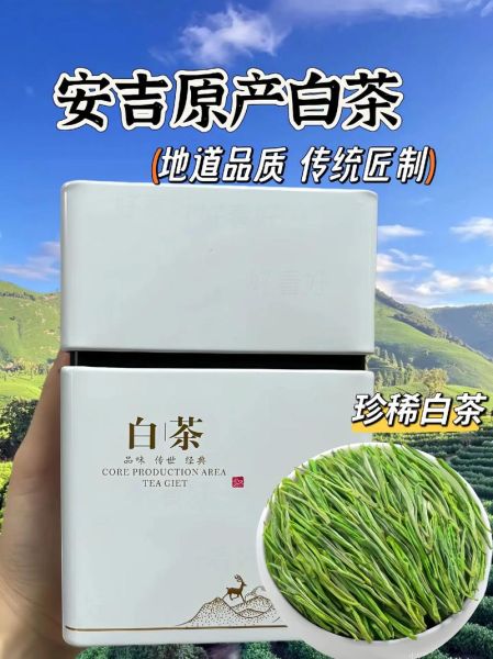 安吉白茶属于什么茶_为什么叫白茶-第2张图片-山城妙识