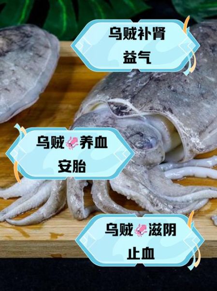 乌贼王配招_乌贼王怎么配招-第1张图片-山城妙识