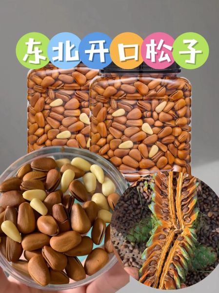 2021年松子价格多少钱一斤_为什么今年松子这么贵-第1张图片-山城妙识 2021年松子价格多少钱一斤_为什么今年松子这么贵-第1张图片-山城妙识