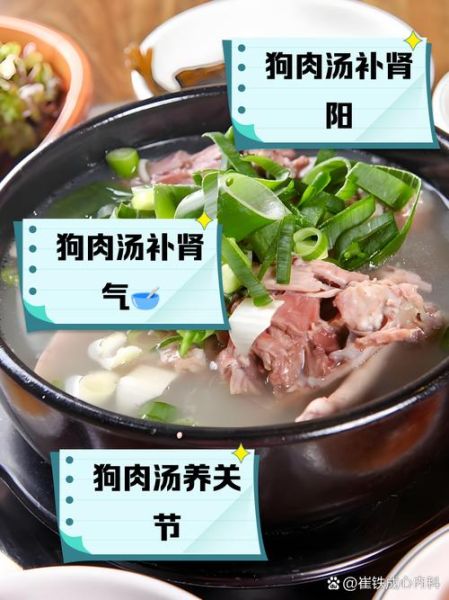 正宗炖狗肉的做法窍门_如何去除土腥味-第1张图片-山城妙识