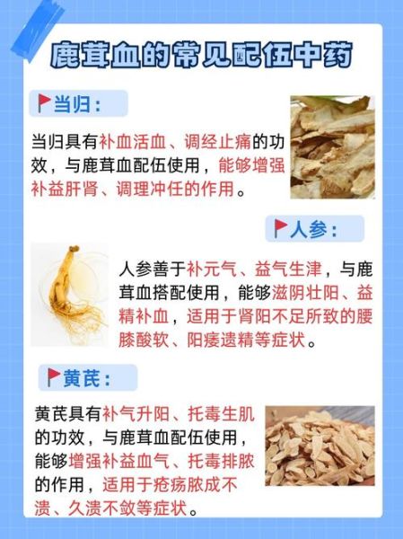 鹿血的功效与作用_鹿血怎么吃效果最好-第1张图片-山城妙识