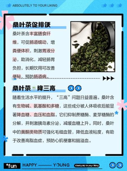 桑叶茶什么人不能喝_桑叶茶的禁忌人群-第1张图片-山城妙识