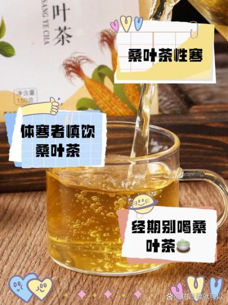 桑叶茶什么人不能喝_桑叶茶的禁忌人群-第2张图片-山城妙识