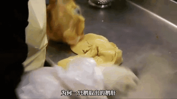 法国鹅肝为什么残忍_鹅肝制作过程-第2张图片-山城妙识