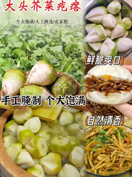 芥菜疙瘩怎么腌制_芥菜疙瘩腌制方法大全-第1张图片-山城妙识