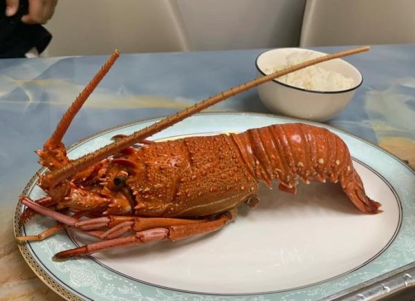 澳洲龙虾怎么吃_澳洲龙虾的正确吃法-第3张图片-山城妙识