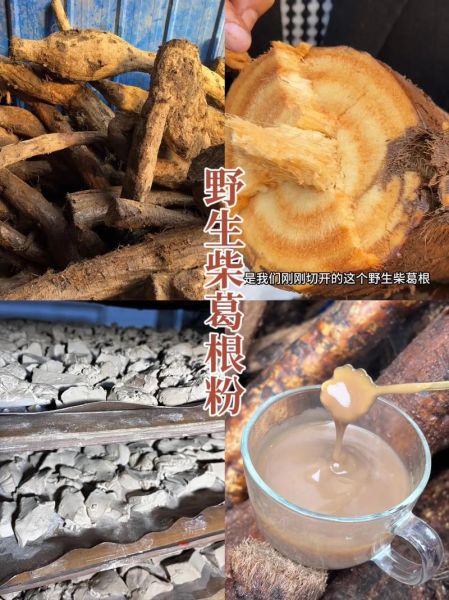 粉葛和葛根是一样的吗_粉葛与葛根区别-第2张图片-山城妙识