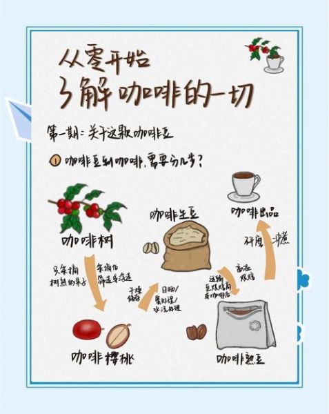 咖啡豆怎么煮_新手入门步骤-第1张图片-山城妙识