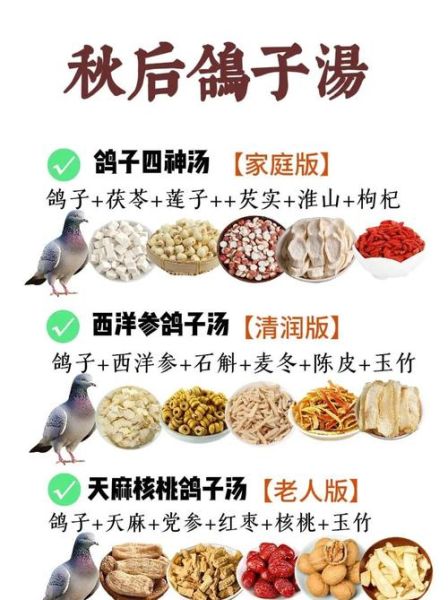 鸽子怎么炖好吃又营养_鸽子汤炖多久最补-第2张图片-山城妙识 鸽子怎么炖好吃又营养_鸽子汤炖多久最补-第2张图片-山城妙识