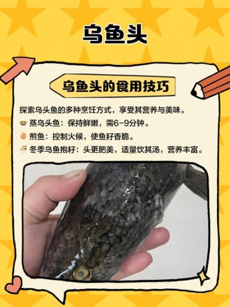 乌头鱼图片怎么区分_乌头鱼高清图片大全-第2张图片-山城妙识