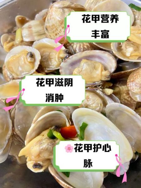 花甲补什么营养_花甲补钙吗-第3张图片-山城妙识