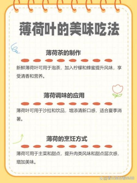 薄荷叶怎么吃_薄荷叶的吃法大全-第2张图片-山城妙识 薄荷叶怎么吃_薄荷叶的吃法大全-第2张图片-山城妙识