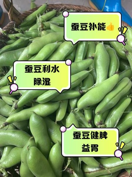 水煮带壳蚕豆怎么煮_带壳蚕豆煮多久才软-第1张图片-山城妙识